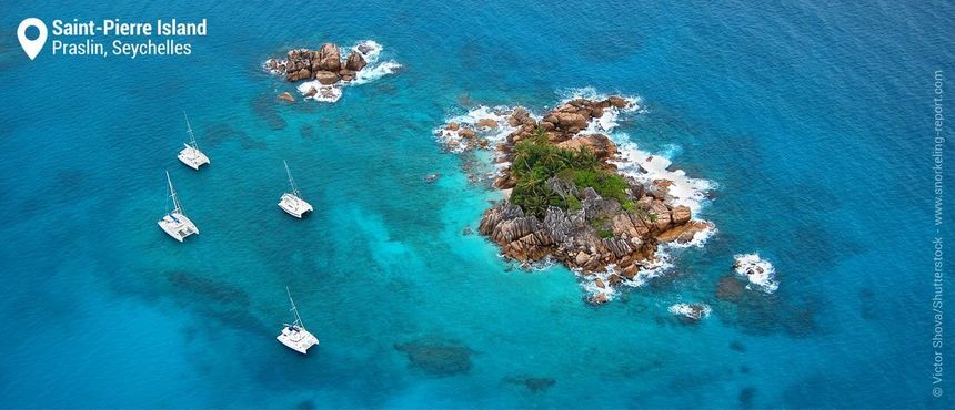 10 Top Amazing Scuba Diving Sites in the Seychelles - The Swahili Blog