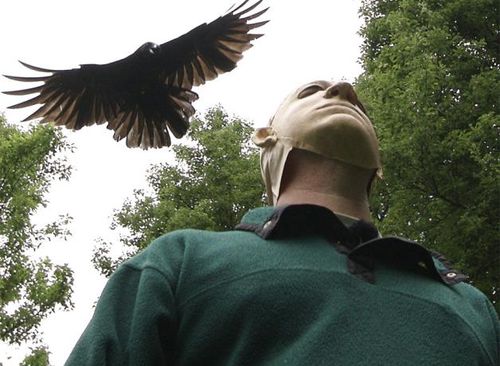 Why Crows Remember Human Faces | Animal Information | Animal Information
