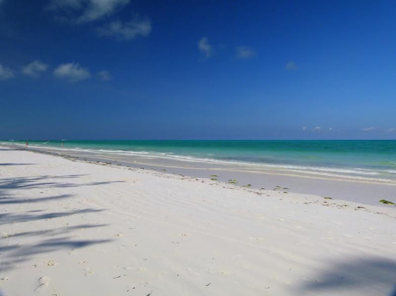 8 Most Incredible Beaches in Zanzibar - The Swahili Blog