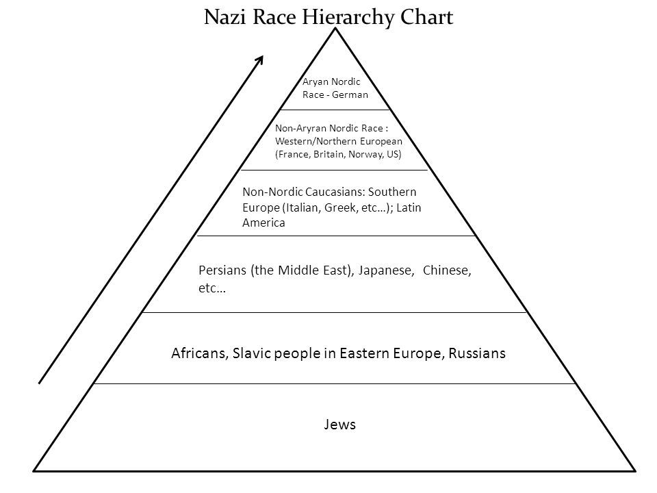What would become of the lesser Axis Powers in a Nazi victory timeline ...